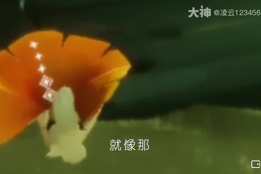 圆梦戏剧社,个人表演名称：小郡主的日介绍：无..._光·遇 | 大神