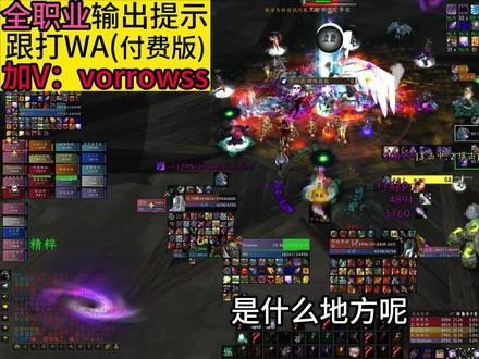 阿卫WLK】Boss攻略之瓦格里双子（TOC老4） toc双_魔兽世界 | 大神